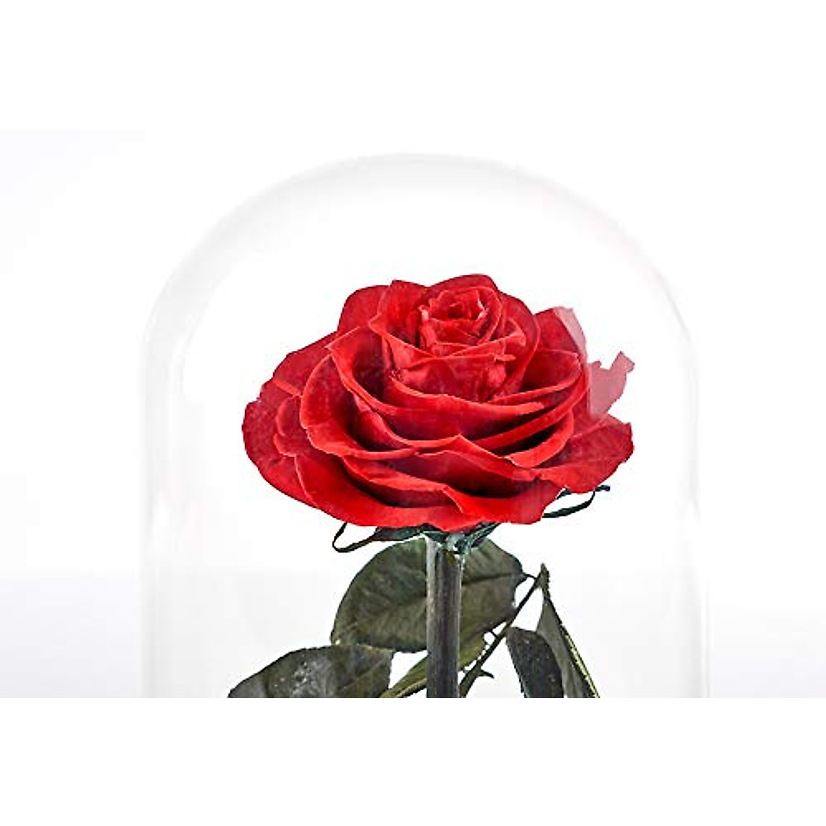 Sharper Image Timeless Rose - Red