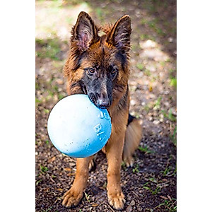 Jolly Pets Bounce-n-Play Dog Toy Ball, 8 Inches/Large, Blueberry, (Model: 2508 BB)