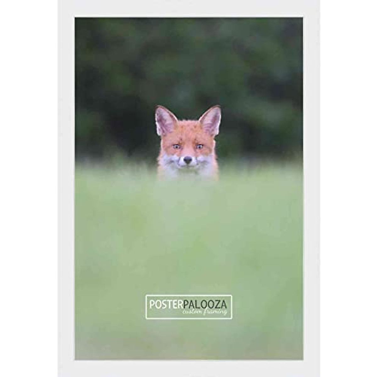 6x10 Frame White Solid Pine Wood Picture Frame | UV Acrylic, Foam Board Backing & Hanging Hardware