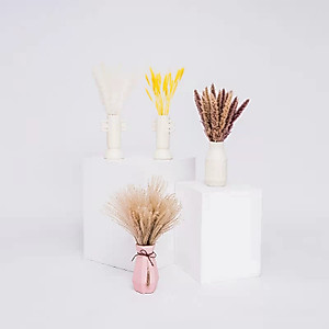 Pampas Grass 100Pcs Dried Pampas Grass Decor Fluffy Pompous Grass Mini Dried Flower Bouquet for Boho Home Decor