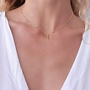 FRONAY Italian Vermeil Horn Necklace - 14k Gold Plated Silver Cornicello Good Luck Pendant (Mini Golden)