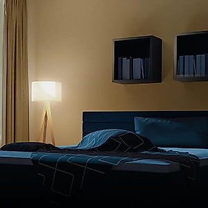 Feit Electric LED Built-in Battery Backup Intellibulb - A21 with an E26 Medium Base Light Bulb - 60W Equivalent - 15 Year Life - 800 Lumen - 2700K Soft White