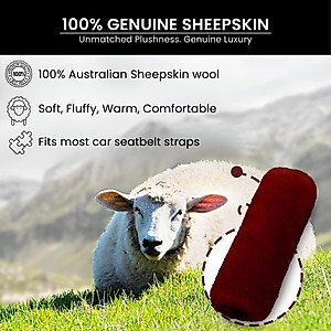 Andalus Australian Merino Sheepskin Seat Belt Covers - 100% Authentic, Ultra-Soft, Hypoallergenic, Neck Protection Pads for Cars & Backpacks (Pack of 2, Grape Red)