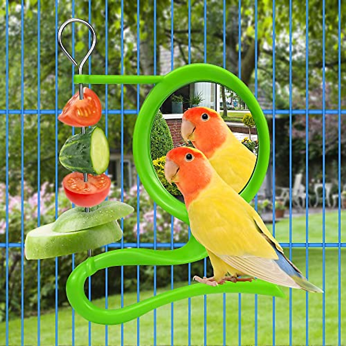 Upgraded Bird Bath for Cage Hanging Bird Bath Tub with Bell Hanging Mirror Parrots Bathing Tub Bird Feeder Bowl Bird Shower Bathing Birdcage Accessories Budgie Toys for Small Birds Canary Lovebirds