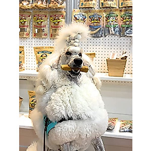 Tibetan Dog Chew – All Natural Yak Cheese Chew Bones, A Healthy Treat to Keep Your Dog Busy and Entertained for Hours, for Aggressive Chewers, Limited Ingredients, No Chemicals (1 Pound, Large)