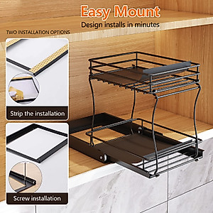 Pull Out Snack Cupboard Organizers with Two Tier Sliding Small Spice Rack for Inside Cabinet,Under Kitchen Bathroom Sink Drawer Organization Baskets and Storage Fits Spices, Sauces, Cans (10"x8"x8")