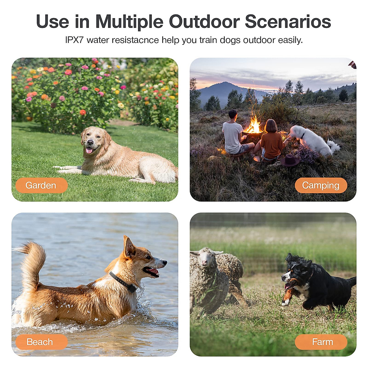 Dog Fence, 98-3280FT GPS Electric Dog Fence, Waterproof Wireless Pet Fence Collar Wireless Fence for Dogs, Pet Containment System Wireless Dog Fence System for Large Dog Training Outdoor