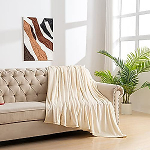 DOSSAC Fleece Blankets Queen Size for All Season 350GSM Luxury Lightweight Anti-Static Fuzzy Soft Microfiber Blanket for Bed, Sofa, Couch, Travel, Camping (Off-White Queen)