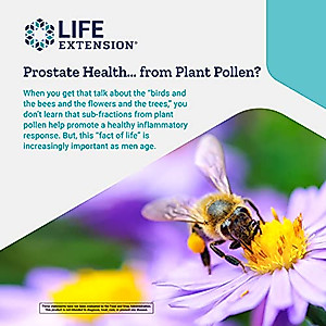 Life Extension Triple Strength Prosta Pollen – Prostate Health – 1 Daily – Gluten-Free – 30 Softgels