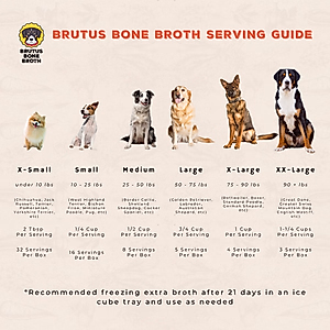 Brutus Bone Broth for Dogs (Beef, 2-Pack) and Brutus On The Go Instant Bone Broth (Beef, 5-Pack)