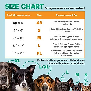 BENCMATE Protective Inflatable Collar for Dogs and Cats - Soft Pet Recovery Collar Does Not Block Vision E-Collar (Large, Rainbow)