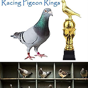 Set of 100 Dove Ring 2023 Aluminum Bird Rings Leg Bands Multicolor Racing Pigeon Foot Ring Leg Ring Canary with Number, anillos para palomas for Cockatiels, Parakeets, Parrots