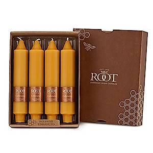 Root Candles Unscented Smooth Collenette 7-Inch Dinner Candles, Box of 4, Butterscotch