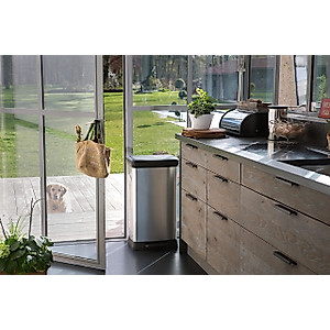 CURVER DECOBIN Waste Bin, Plastic, Silver Metallic