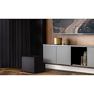 Definitive Technology Descend DN10 10" Subwoofer - Digitally Optimized for Movies and Music, New 3XR Architecture, 500W Peak Class D Amplifier & (2) Pressure-Coupled 10" Bass Radiators, Black