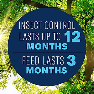 BioAdvanced 12 Month Tree Protect & Feed Concentrate II, 1 GAL