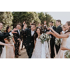 TooGet Wedding Confetti Dried Flower Petals, 100% Natural Confetti Dried Petals Biodegradable Petal Confetti for Wedding and Party Decoration - 115g (Red Roses Petals)