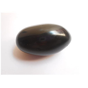 SynSpiritStore Original Shaligram/Shalagram Shila Stone (Approx. 6~9 cm) for Lord Vishnu Pooja and Tulsi Pooja, Nepal Gandaki River Stone
