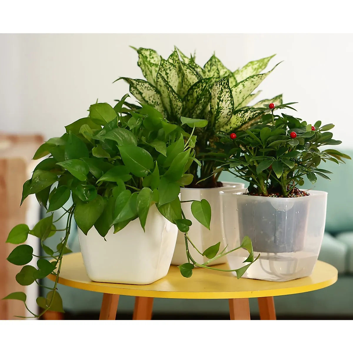 6-Pack Clear Self Watering Planters for Indoor Plants 7" Large African Violet Plant Pots Plastic Wick Flower Pots with Water Injection Hole, Orchid Plant Pot Set, Clear