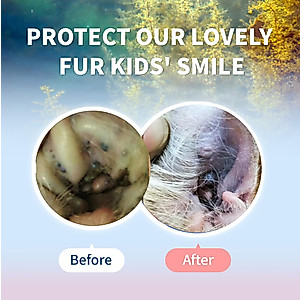 Love Can Fly Dog and Cat Joint Protection and Bone Health - Patented UC-II & Seaweed Calcium/Natural Anti-Inflammatory/Maintain Strong Bone Structure/Enhanced Nutrition - 120 Capsules