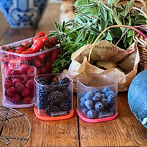 Yumbox Chop Chop Glass Meal Prep Food Storage Cubes - 1.5 cups volume each cube - Vibrant Silicone Lids