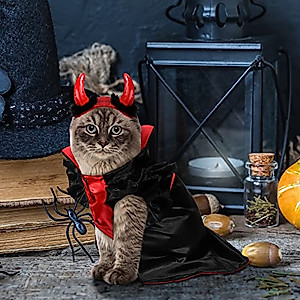 4 Pcs Halloween Pet Costume Set, Funny Vampire Cape Cloak Devil's Horn Headband Bat Wings with Bell Vampire Costume for Cat and Small Dogs, Cat Outfit Clothes for Halloween Party Pet Cosplay (Large)