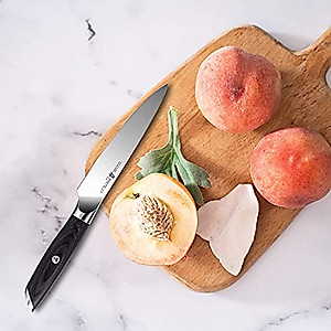 TUO Kitchen Utility Knife - 5 inch Kitchen Cooking Knife Paring Knife- German HC Steel Non-Serrated Steak Knife - Full Tang Pakkawood Handle - Falcon Series with Gift Box