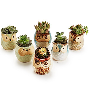 SUN-E SE Owl Pot Ceramic Flowing Glaze Base Serial Set Succulent Plant Pot Cactus Plant Pot Flower Pot Container Planter with Drainage Hole Home Office Desk Garden Gift Idea 6pcs 2.5 Inch