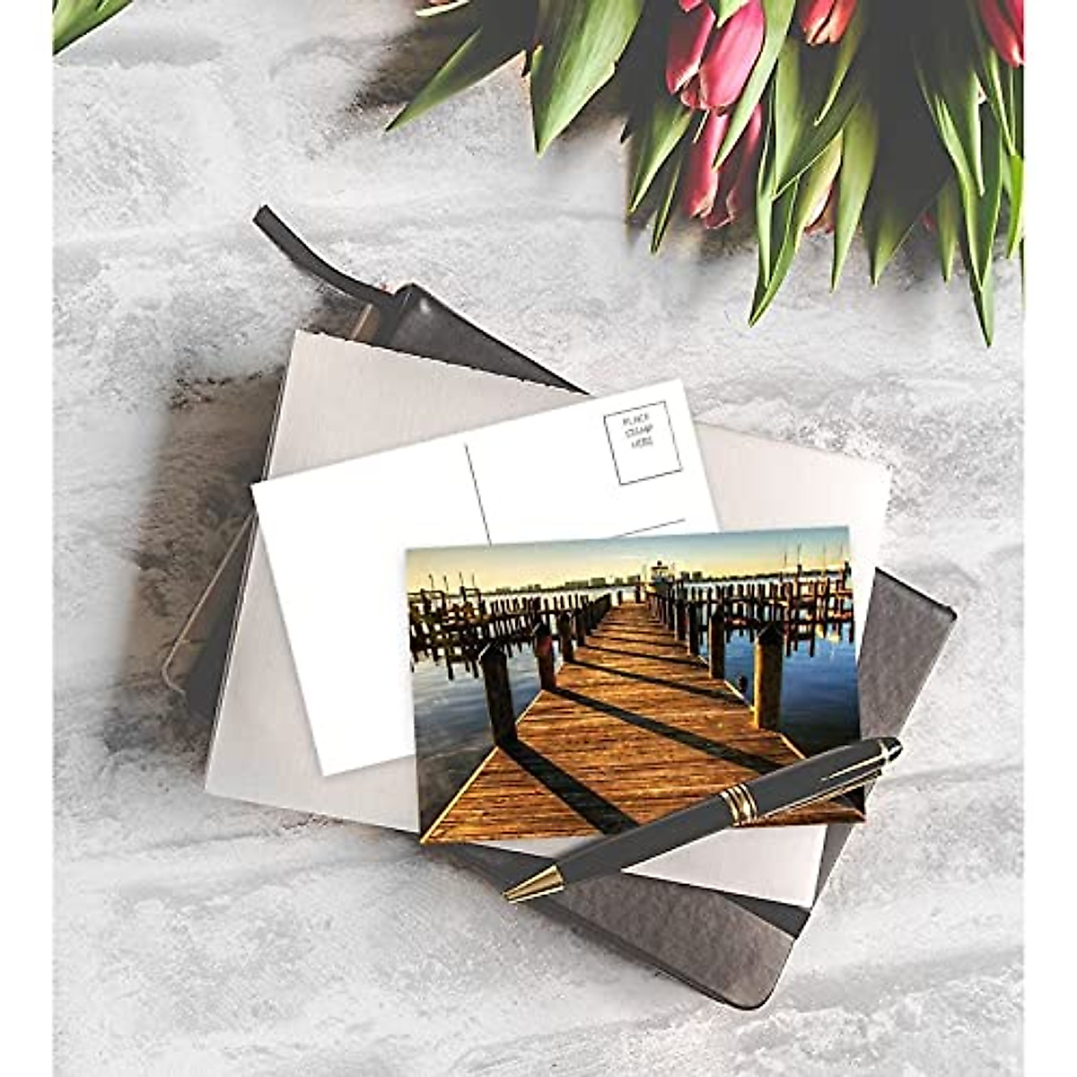 Best Paper Greetings 40 Pack Bulk Animal and Travel Postcards From Around the World for Mailing, Assorted Nature Thank You Notes (4 x 6 In)