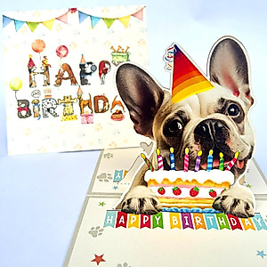 Funny French BullDog Dog 3D Birthday Funny Pop Up Cards - French Bull Dog 3D Birthday PopUp Cards - Happy Birthday Lovely Cards for French BullDog Lovers
