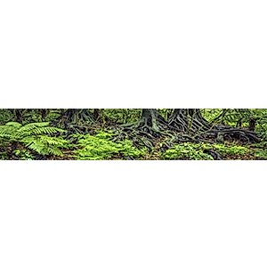 Reptile Habitat Background; Rain Forest Ferns & Roots, for 48Lx18Wx18H Terrarium, 3-Sided Wraparound