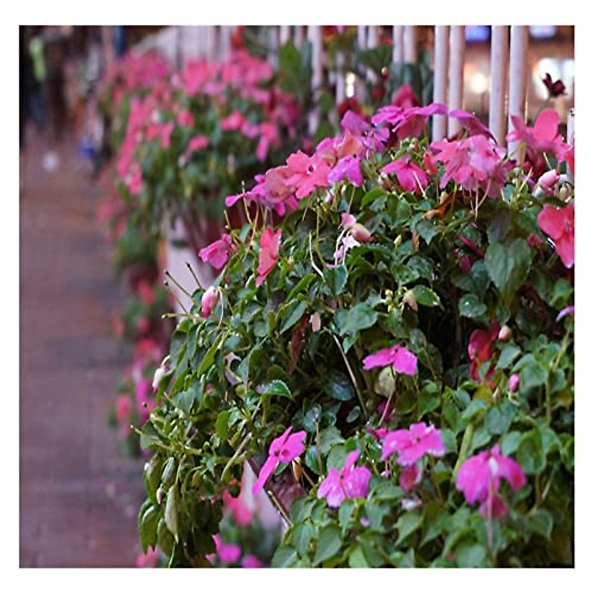 DYOSEN Digital Camera NEX-3N Mirrorless Digital Camera 16.1 MP Exmor APS-C Sensor Full HD Movie Shooting Digital Camera Photography (Color : B)