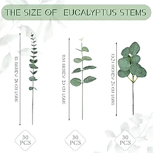 Giegxin 90 Pcs 3 Kinds Mixed Eucalyptus Leaves Stems Bulk Artificial Silver Dollar Leaves Picks Dried Eucalyptus Bundle Faux Spray for Wedding Vase Bouquet Floral Arrangement (Green)