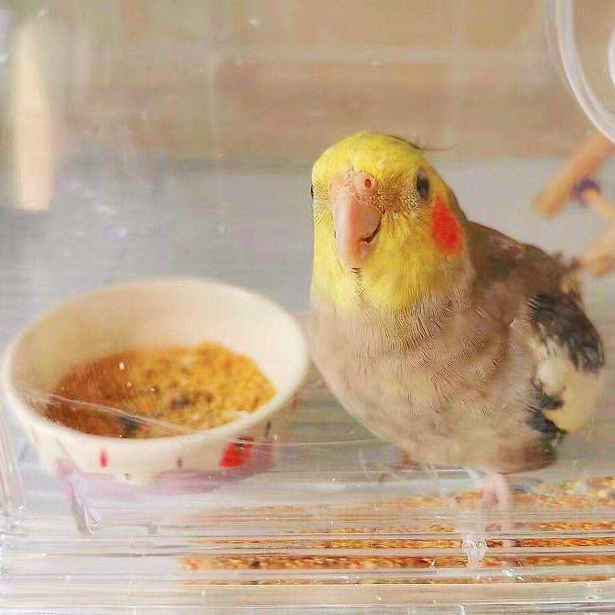 Toietmoi Hamster Ceramic Cartoon Food Bowl Water Prevent Tipping Christmas Party Style Guinea Pig Rabbit Gerbil Chinchilla Hedgehog Rat Small Animals Pets Assorted Colors