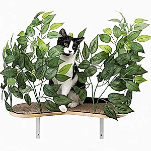 On2Pets Cat Shelves Wall-Mounted Cat Trees Cat Furniture for Climbing, Playing and Relaxing, Set of 2, Indoor Cat Shelf Made in USA… (Zen Green, Curved)