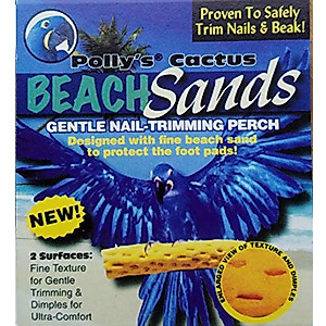 Polly's Beach Sands Bird Perch, Small