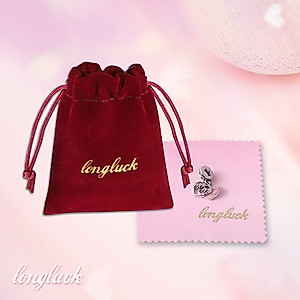 LONGLUCK 925 Sterling Silver Charms for Bracelets Necklaces Dangle Pendant With 5A Cubic Zirconias Bead Charm for Women DIY Jewelry