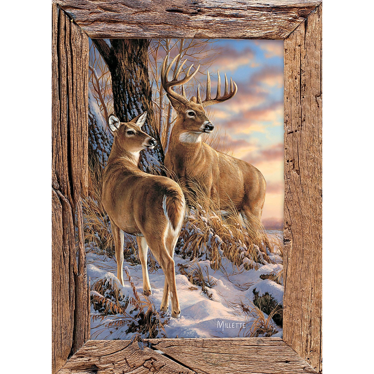 HTL Card-Boxed-Birthday-Whitetail Deer (Box of 12)