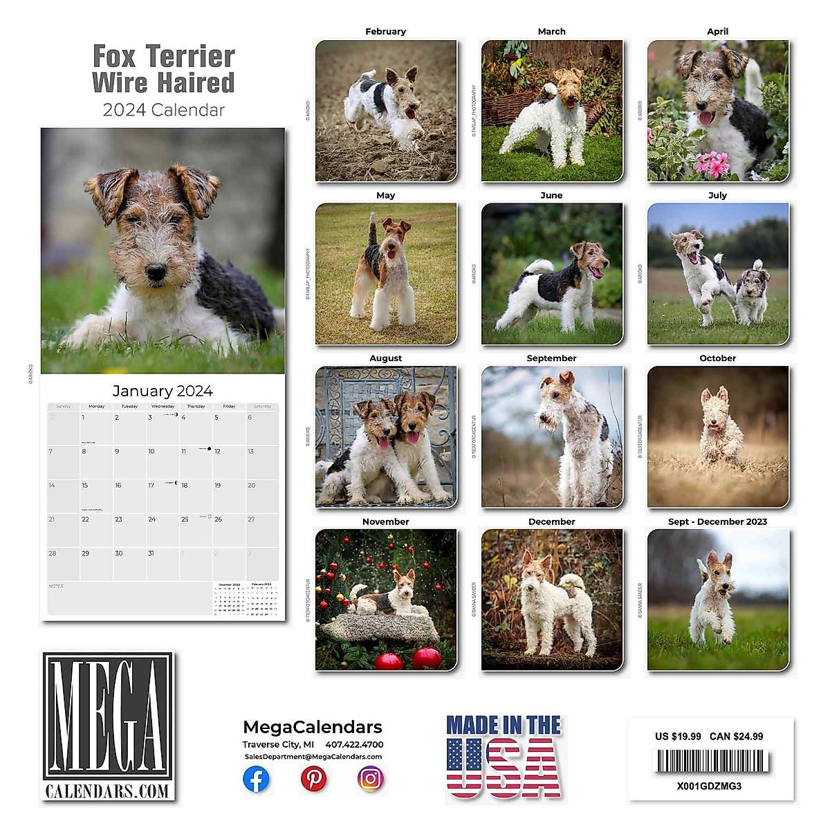 2023 2024 Wire Fox Terrier Calendar - Dog Breed Monthly Wall Calendar - 12 x 24 Open - Thick No-Bleed Paper - Giftable - Academic Teacher's Planner Calendar Organizing & Planning - Made in USA