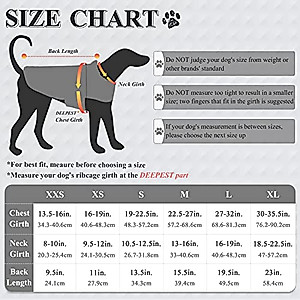 VIVAGLORY 3-in-1 Dog Winter Jackets Lined with Fleece, Reflective Water-Resistant Cold Weather Coats, Wind Breaker, Warm Sweater with Leash Portal, Dog Clothes for Small Medium Large Dogs