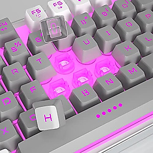 MageGee Gaming Keyboard, Rainbow Backlit LED Wired Gaming Keyboard with Clear Housing and Double-Shot Keycaps, K1 Waterproof Ergonomic 104 Keys Light Up Keyboard for PC Desktop Laptop, White & Gray