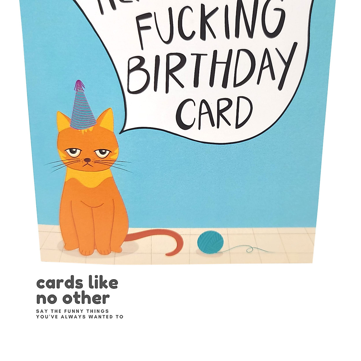 Sleazy Greetings Funny Birthday Card For Him Her | Rude Funny Cat Birthday Card For Men Women | Dirty Cat Bday Card For Wife Husband Boyfriend Girlfriend | Birthday Money's Tight Times Are Hard Card