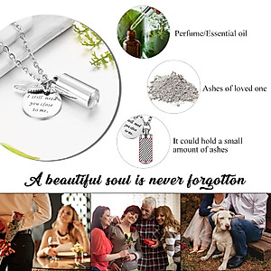 abooxiu Cylinder Urn Necklace for Ashes Cremation Jewelry/Keychain for human Pet Stainless Steel Memorial Keepsake Pendant with Angel Wing Charm Ashes Jewelry-Silver S