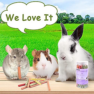 ERKOON 40Pcs Timothy Hay Sticks, Chinchilla Treats, Chew Toys for Teeth for Bunnies Guinea Pigs Gerbil