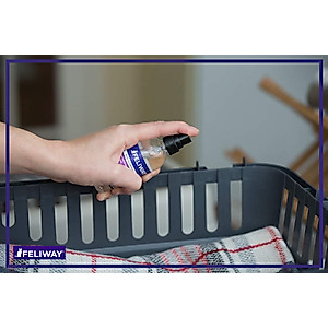 FELIWAY Spray Classic Spray, 60 mL - Reassures Cats During Car Travel, Veterinary Visits & Helps Control Unwanted Behaviours Like Urine Spraying, Scratching - (60 mL Spray, 1-Pack)