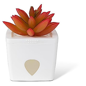 ZendoZones Fruit Fly Traps, 12 Pack Assorted with White Base, Refillable and Reusable, Discreet and Effective