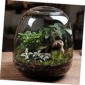 HANABASS 2 Boxes Tufts Scenery Tabletop Building Modelling Diorama Flower H Miniature Irregular Gaming for Cluster Hobby Static Train Railroad Adhesive Sand Bushy Layout Groups Grass of