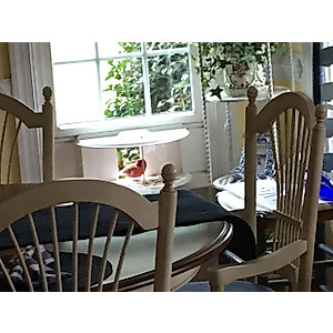 Clearview Window Bird Feeder by Paradise Birdhouses