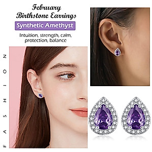 Nupdot Silver February Birthstone Teardrop Stud Earrings for Women, 925 Sterling Silver Post Cubic Zirconia Faux Diamond Halo Studs Jewelry for Birthday Christmas Bridesmaids Gifts