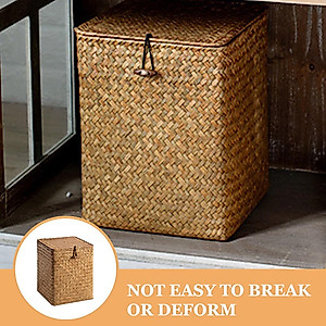ULTECHNOVO Storage Cube, Wicker Storage Baskets for Shelves, Storage Baskets, Wicker Storage Basket for Bedroom, Living Room (12.38X10.22in)